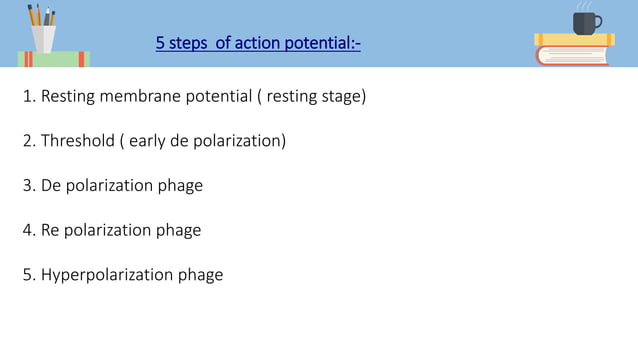 action_potentials_.pptx - phases of action potentials 1) resting phase ...