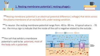 action_potentials_.pptx - phases of action potentials 1) resting phase ...