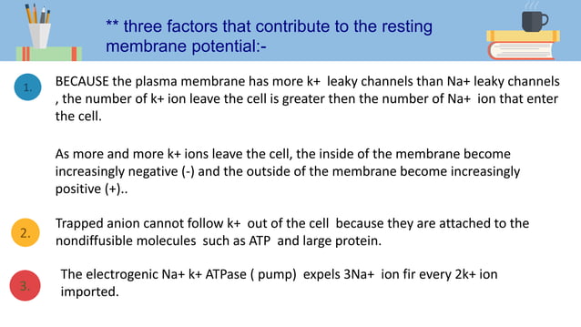 action_potentials_.pptx - phases of action potentials 1) resting phase ...