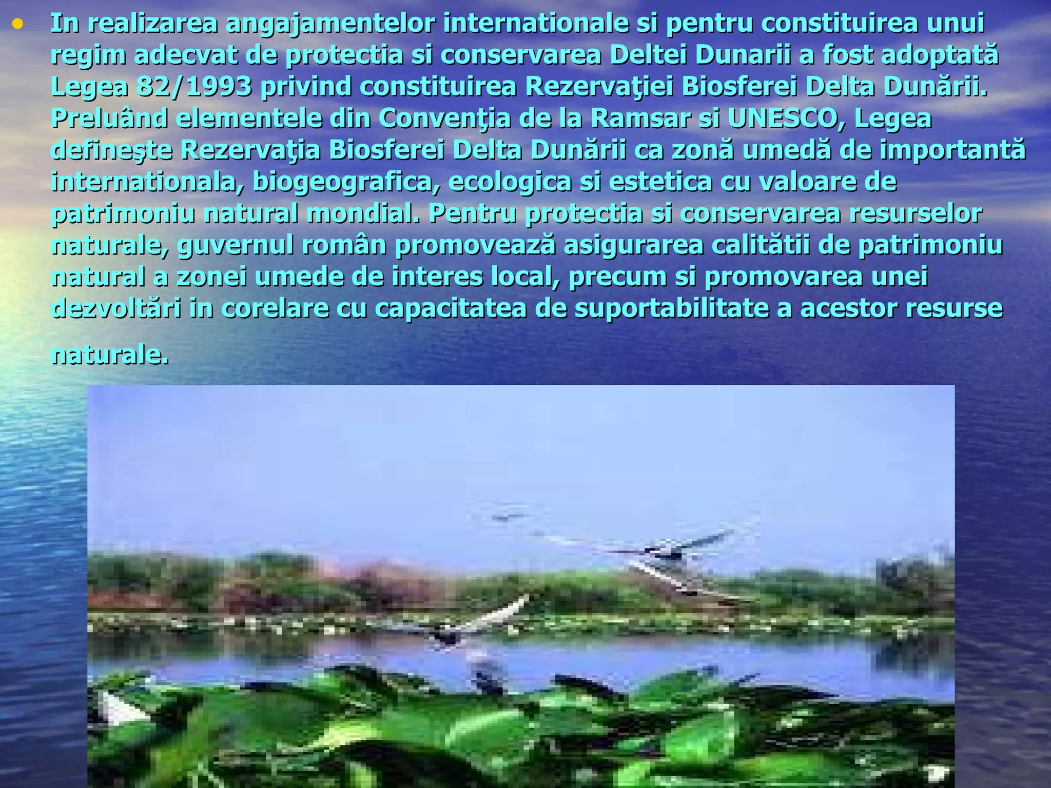 Ziua mondiala a zonelor umede | PPT