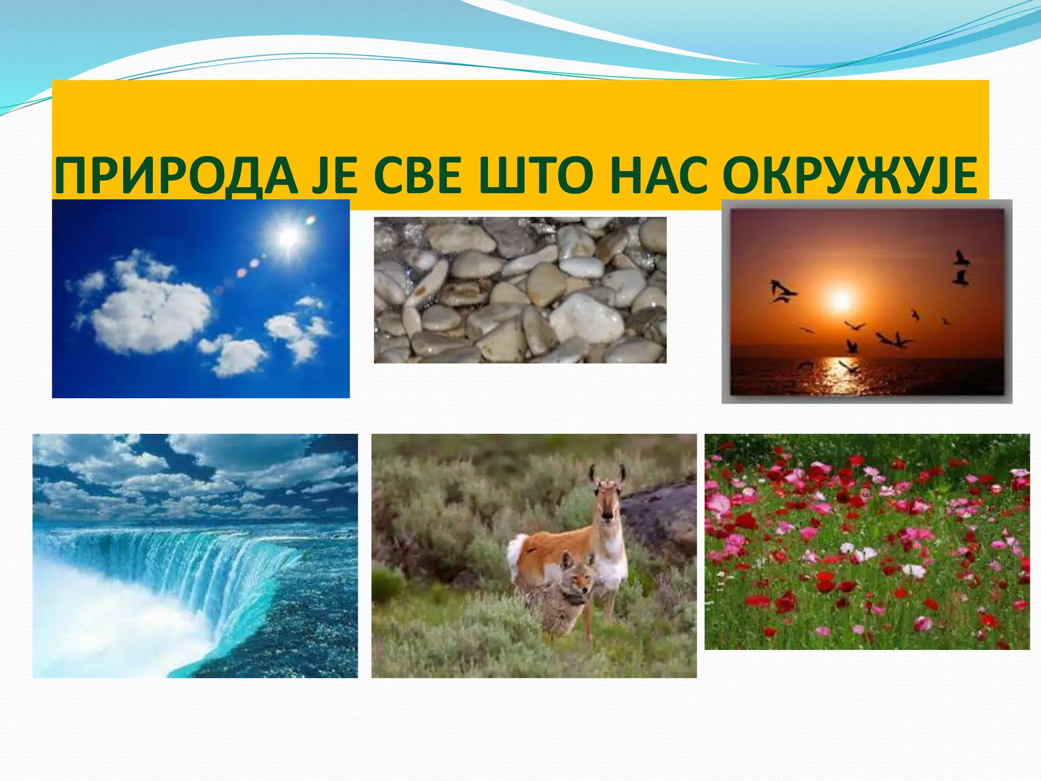 Ziva i neziva priroda | PPTX