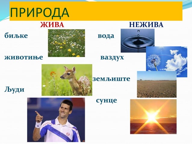 Ziva i neziva priroda | PPTX