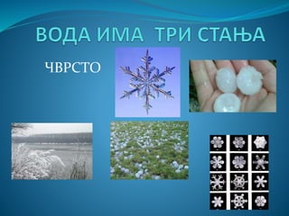 Ziva i neziva priroda | PPTX