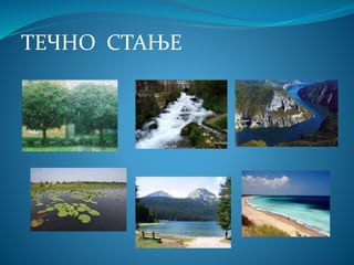 Ziva i neziva priroda | PPTX