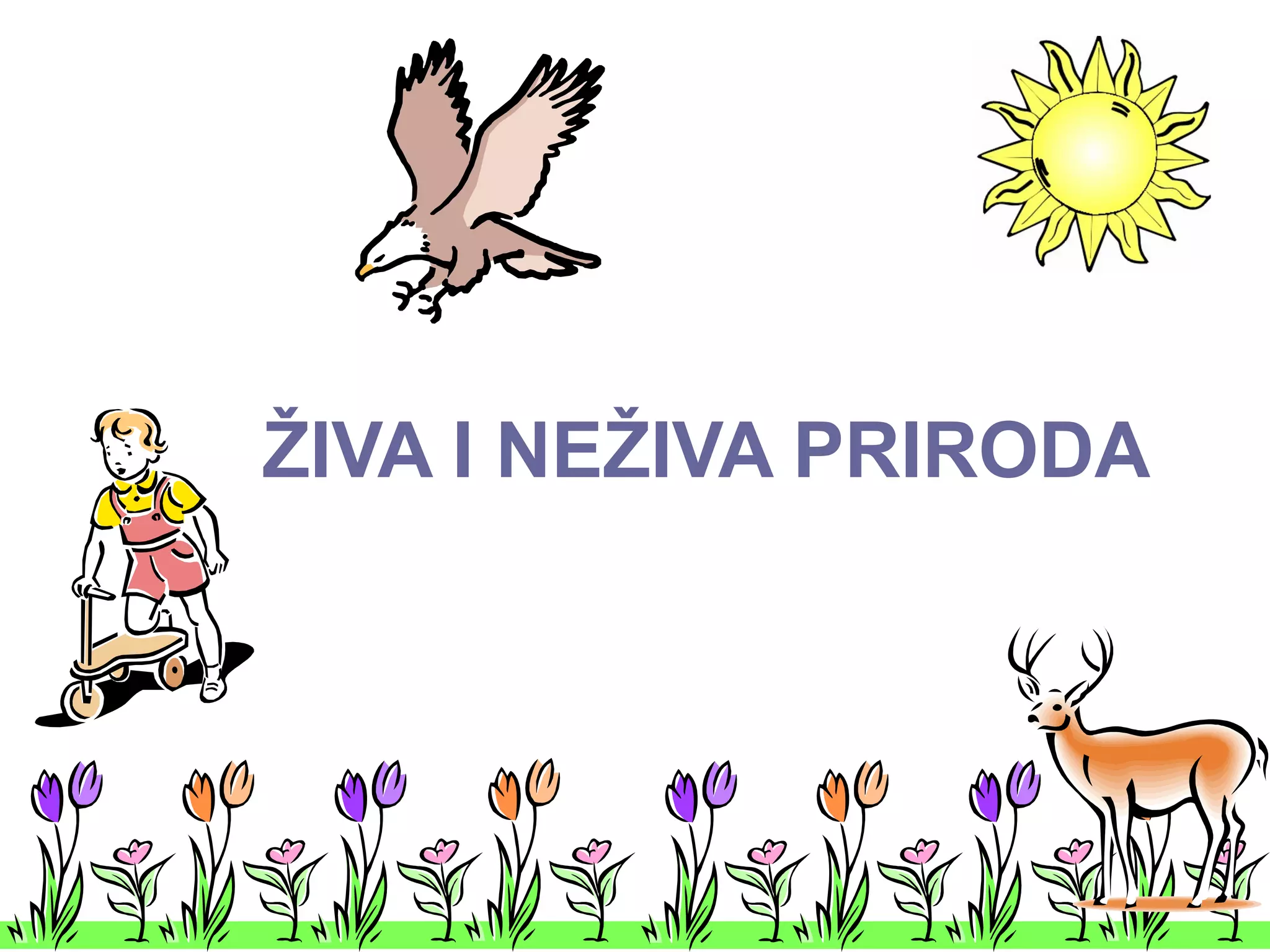 Ziva i neziva priroda | PPT