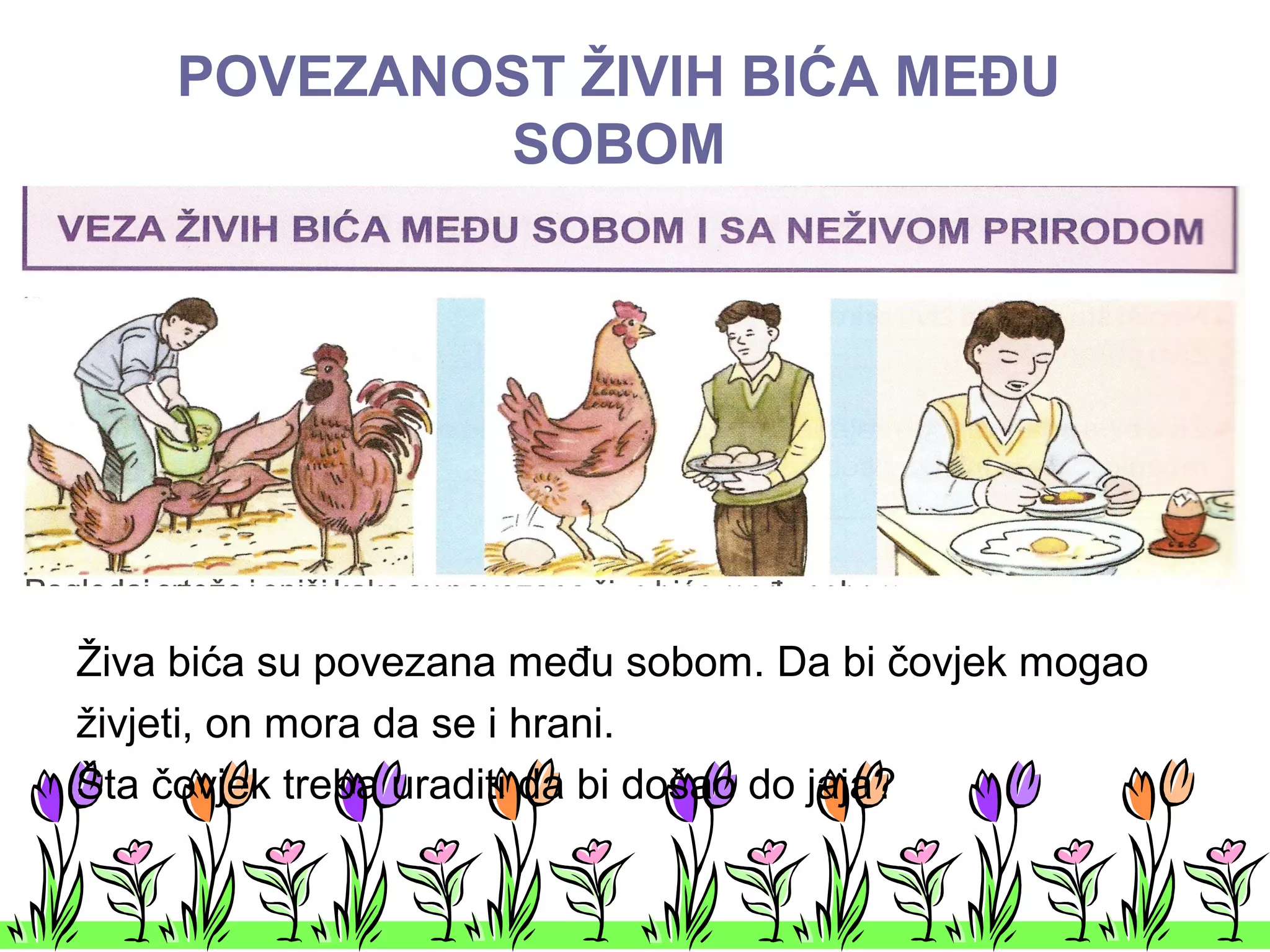 Ziva i neziva priroda | PPT