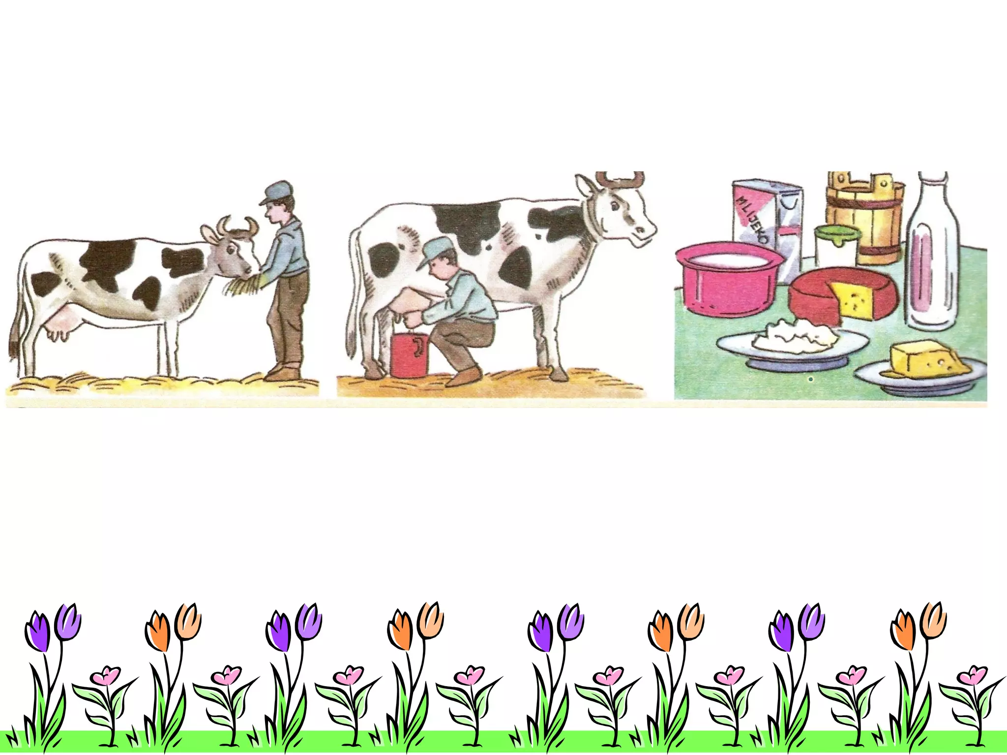 Ziva i neziva priroda | PPT