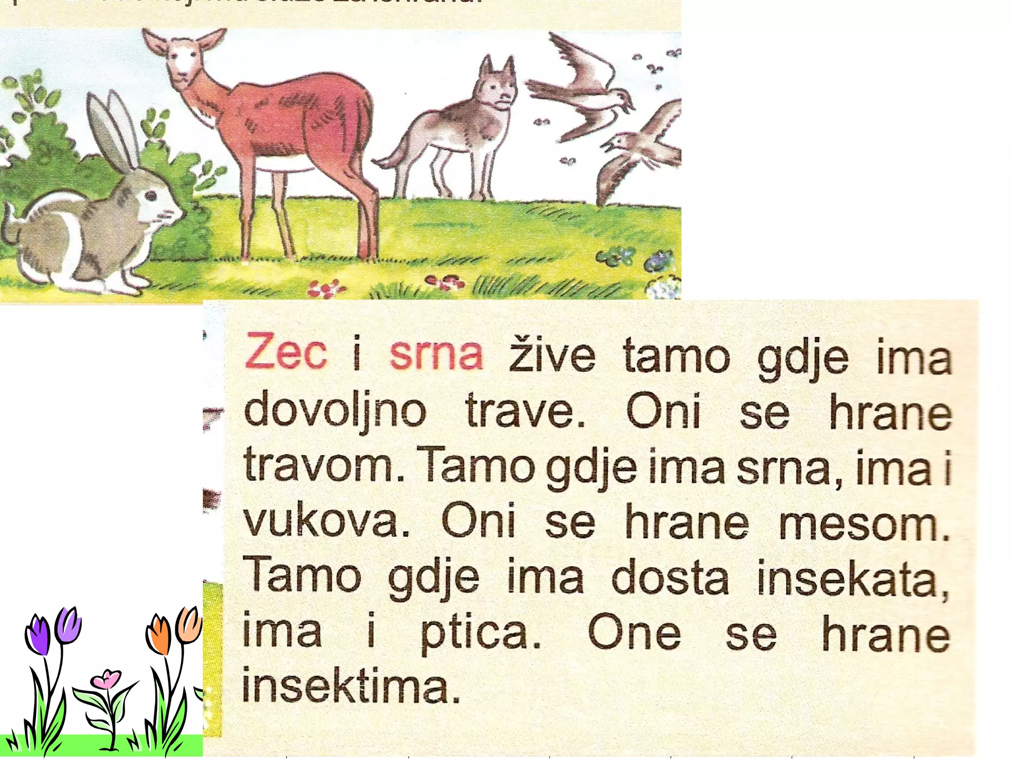 Ziva i neziva priroda | PPT