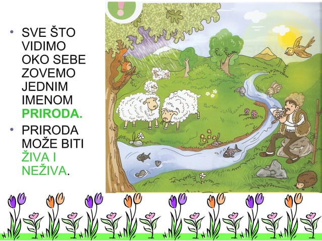 Ziva i neziva priroda | PPT