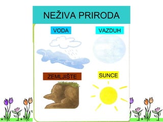 Ziva i neziva priroda | PPT