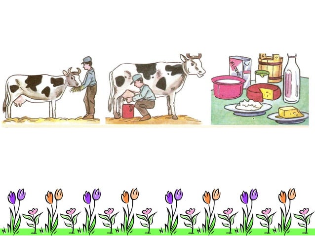 Ziva i neziva priroda | PPT