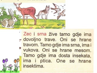 Ziva i neziva priroda | PPT