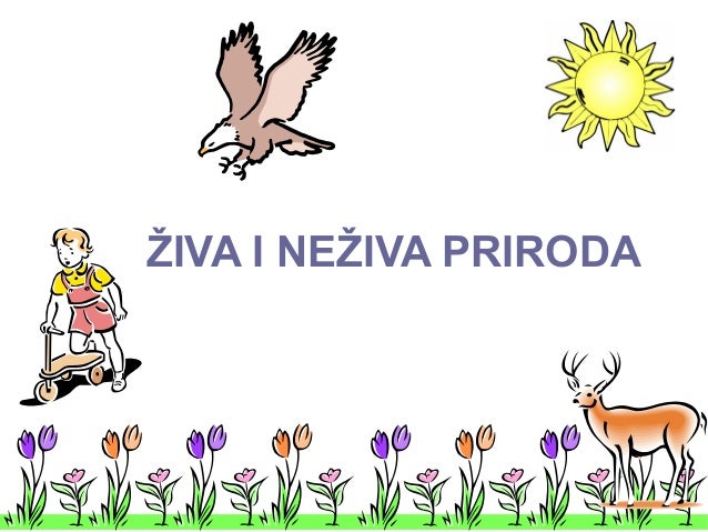 Ziva i neziva priroda