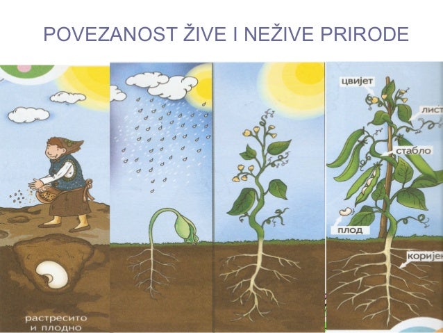 Ziva i neziva priroda