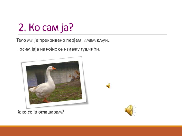 Zivotinje koje covek gaji, 1. razred | PPT