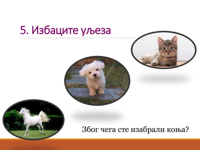 Zivotinje koje covek gaji, 1. razred | PPT