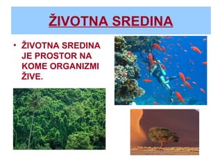Životna sredina | PPT
