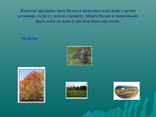 Zivotna stanista | PPT