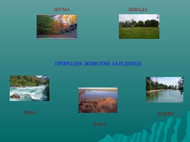 Zivotna stanista | PPT