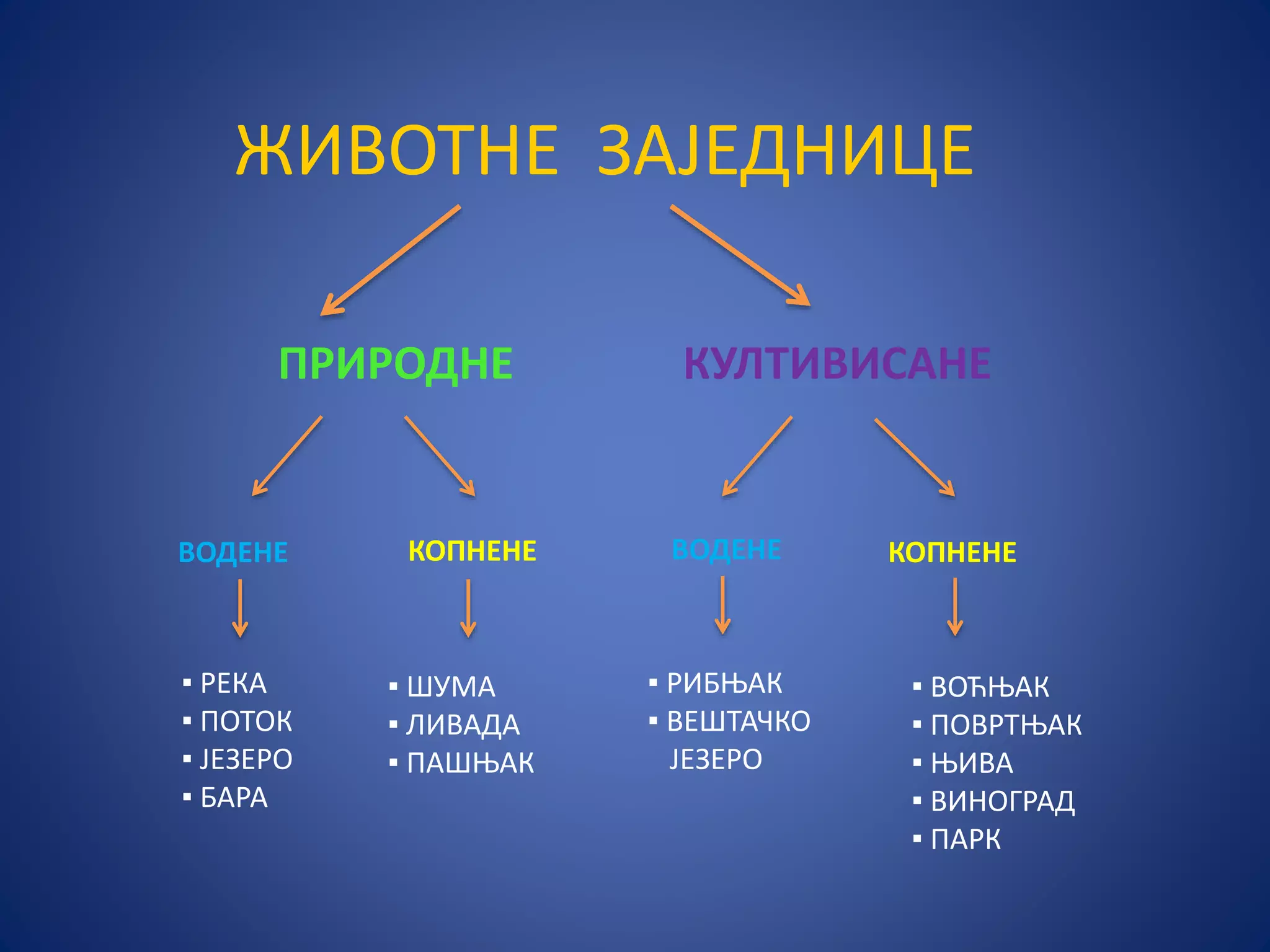 Zivotne zajednice ppt za blog | PPTX