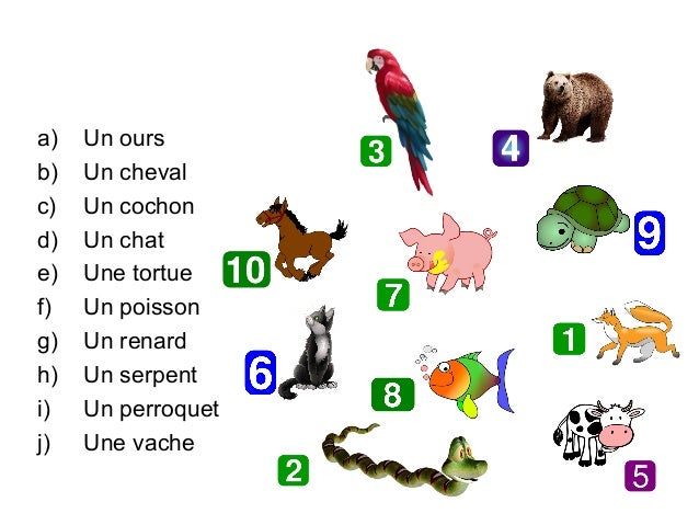 Animals in French