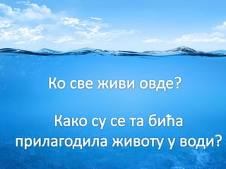 Zivot u vodi | PPTX