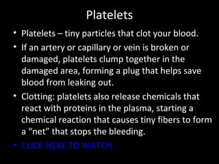 Cardiovascular system notes | PPT