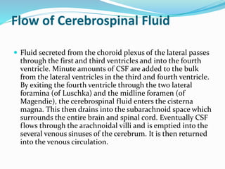 THE CIRCULATION OF THE CEREBRO SPINAL FLUID | PPTX | Brain and Nervous ...