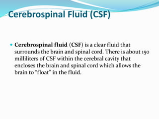 THE CIRCULATION OF THE CEREBRO SPINAL FLUID | PPTX | Brain and Nervous System Disorders ...