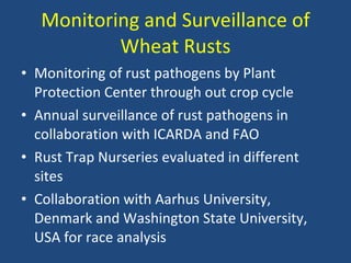 Impacts of Wheat Stripe Rust in Uzbekistan: Breeding and Control ...