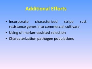Impacts of Wheat Stripe Rust in Uzbekistan: Breeding and Control ...