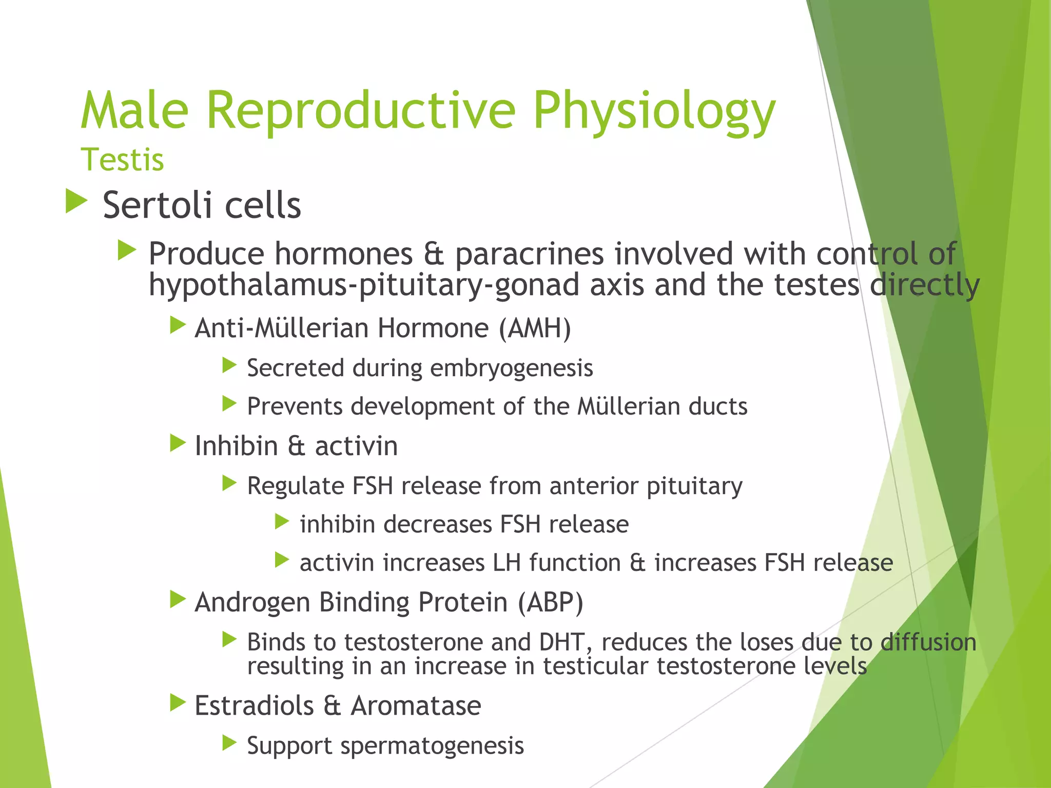 Physiology Of Sexual Differentia | PPT