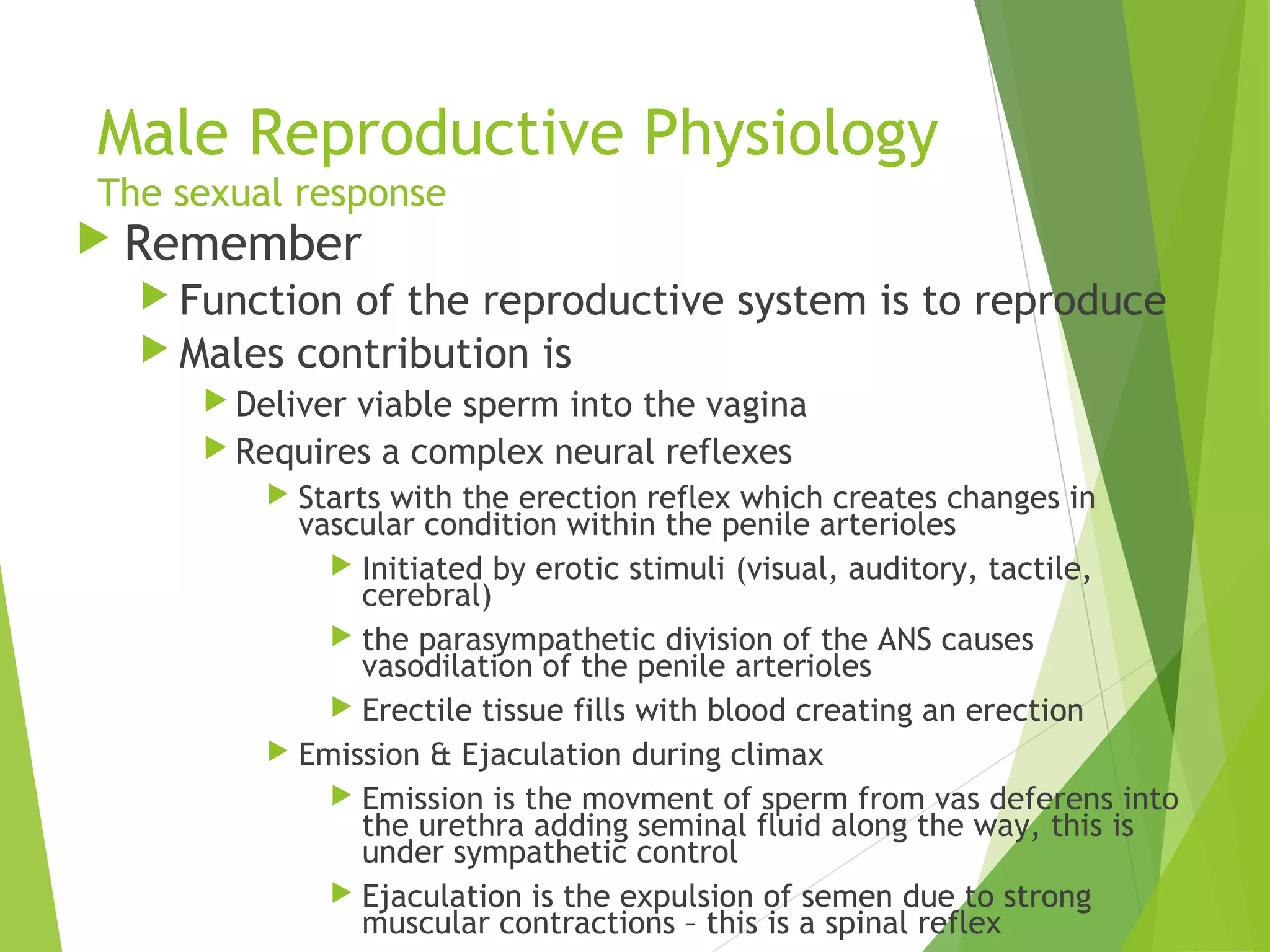 Physiology Of Sexual Differentia | PPT