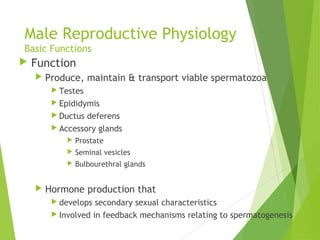 Physiology Of Sexual Differentia | PPT
