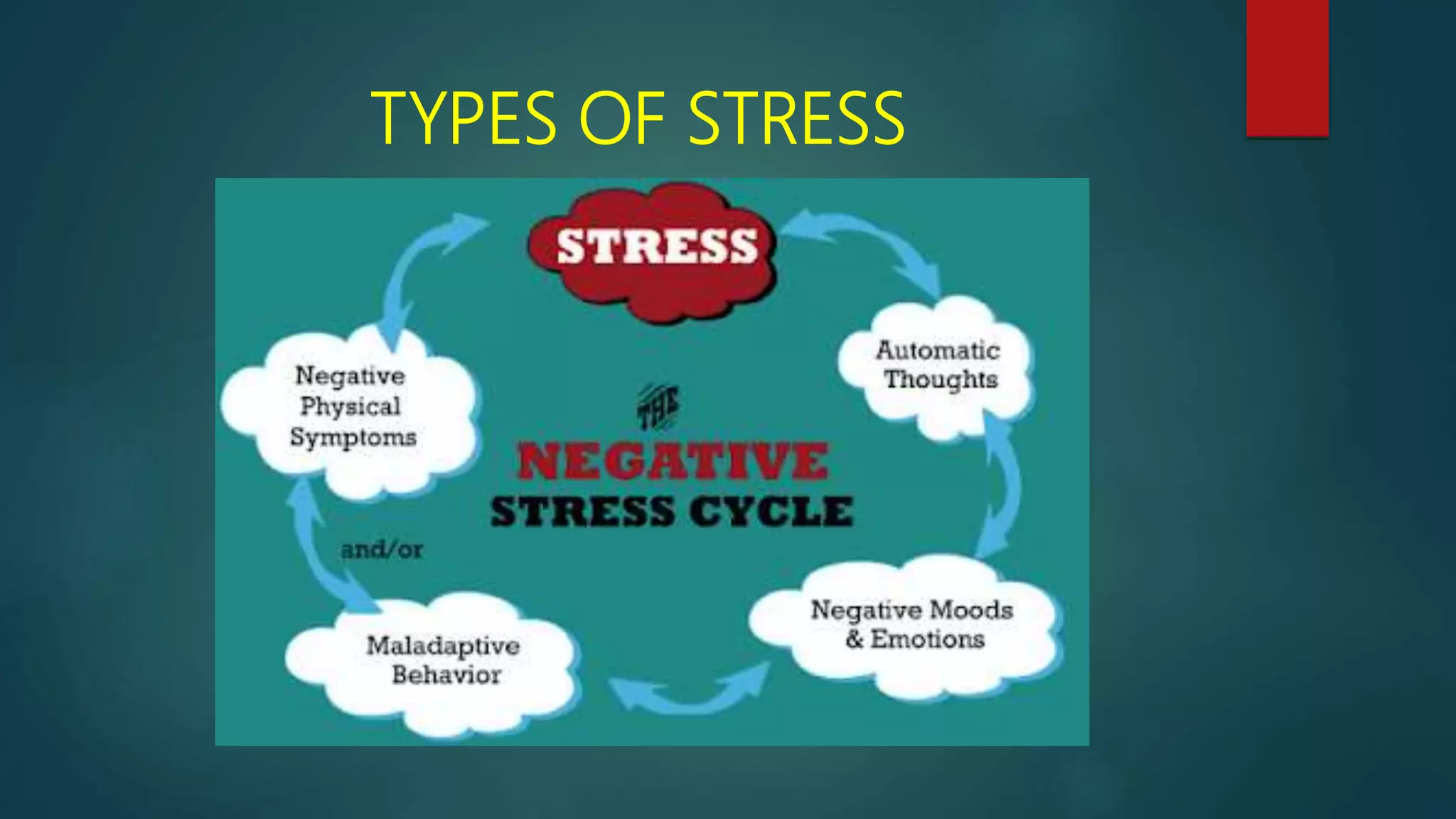 STRESS_TYPES_CAUSES__STAGES.pptx