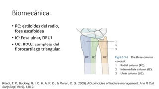Fractura_de_Radio_Distal.pptx