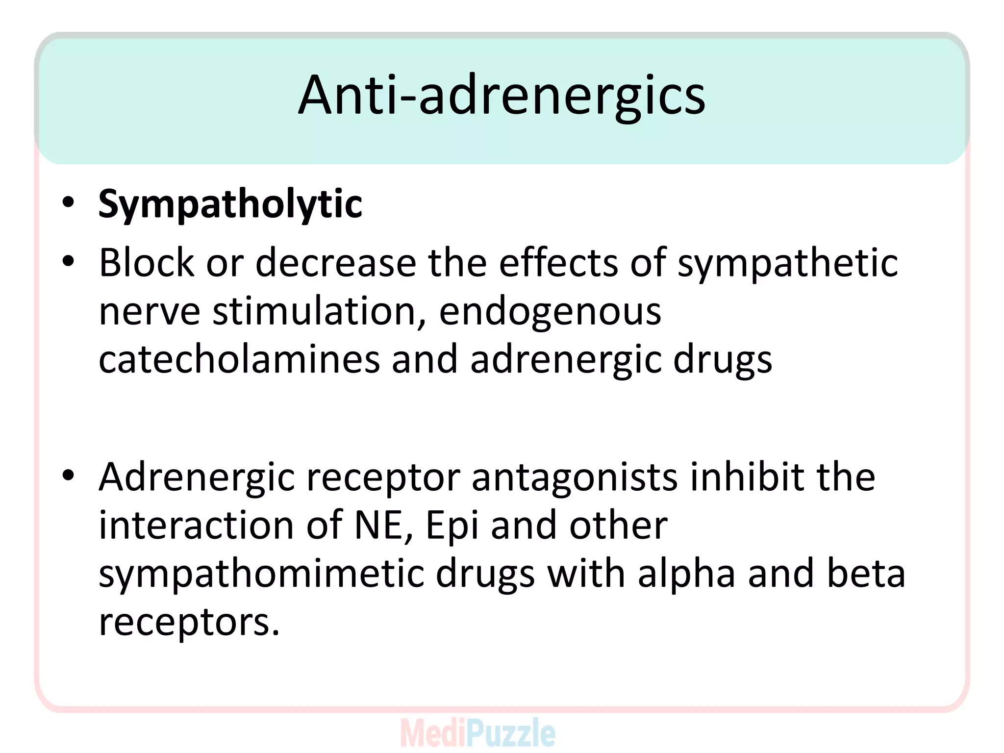 CVS-_Antihypertensives-_Beta_blockers.pdf