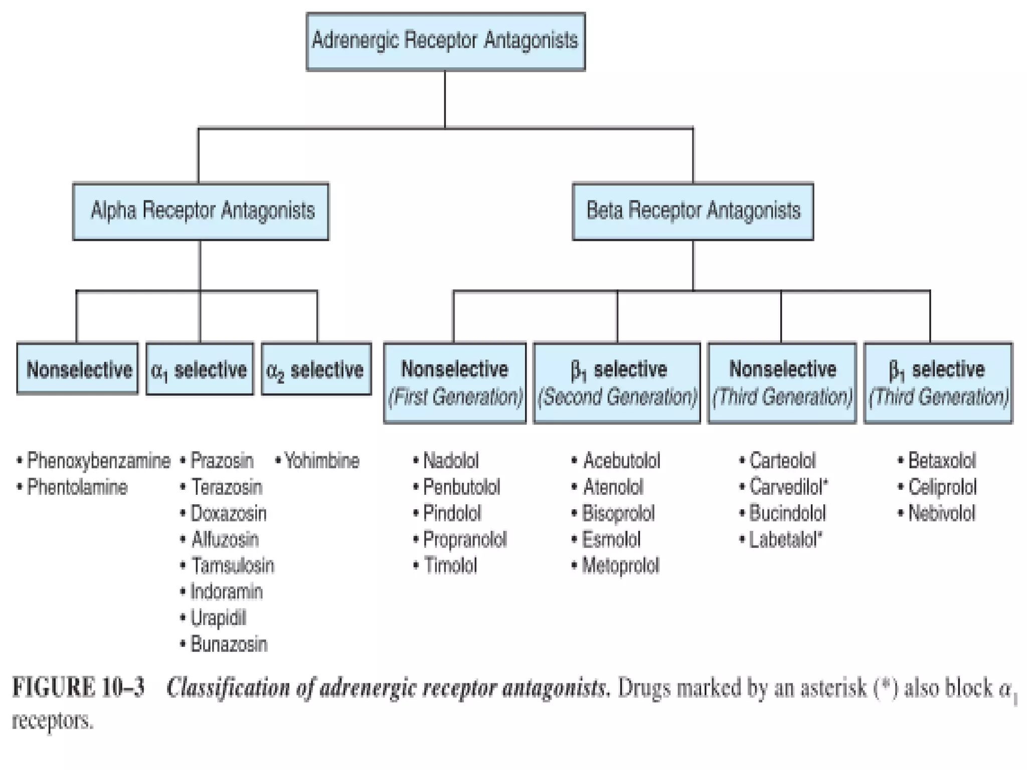 CVS-_Antihypertensives-_Beta_blockers.pdf