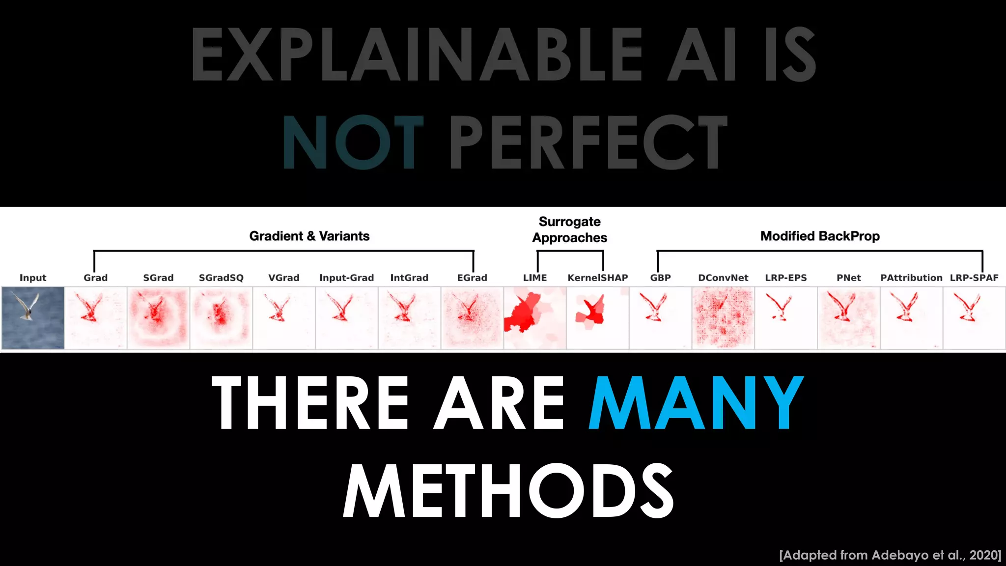 Evaluating global climate models using simple, explainable neural networks | PDF