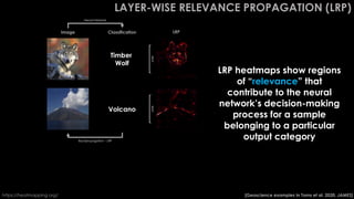 Climate Signals in CESM1 Single-Forcing Large Ensembles Revealed by Explainable Neural Networks ...