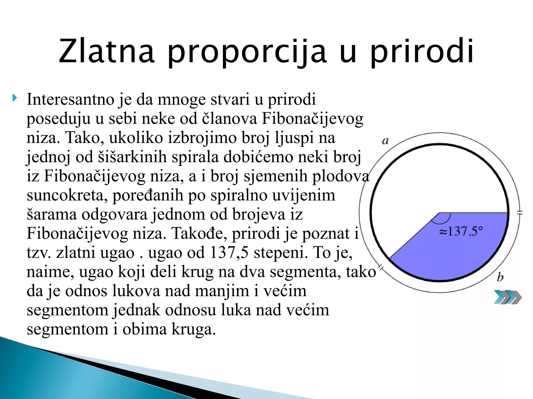 Zlatna proporcija | PPT