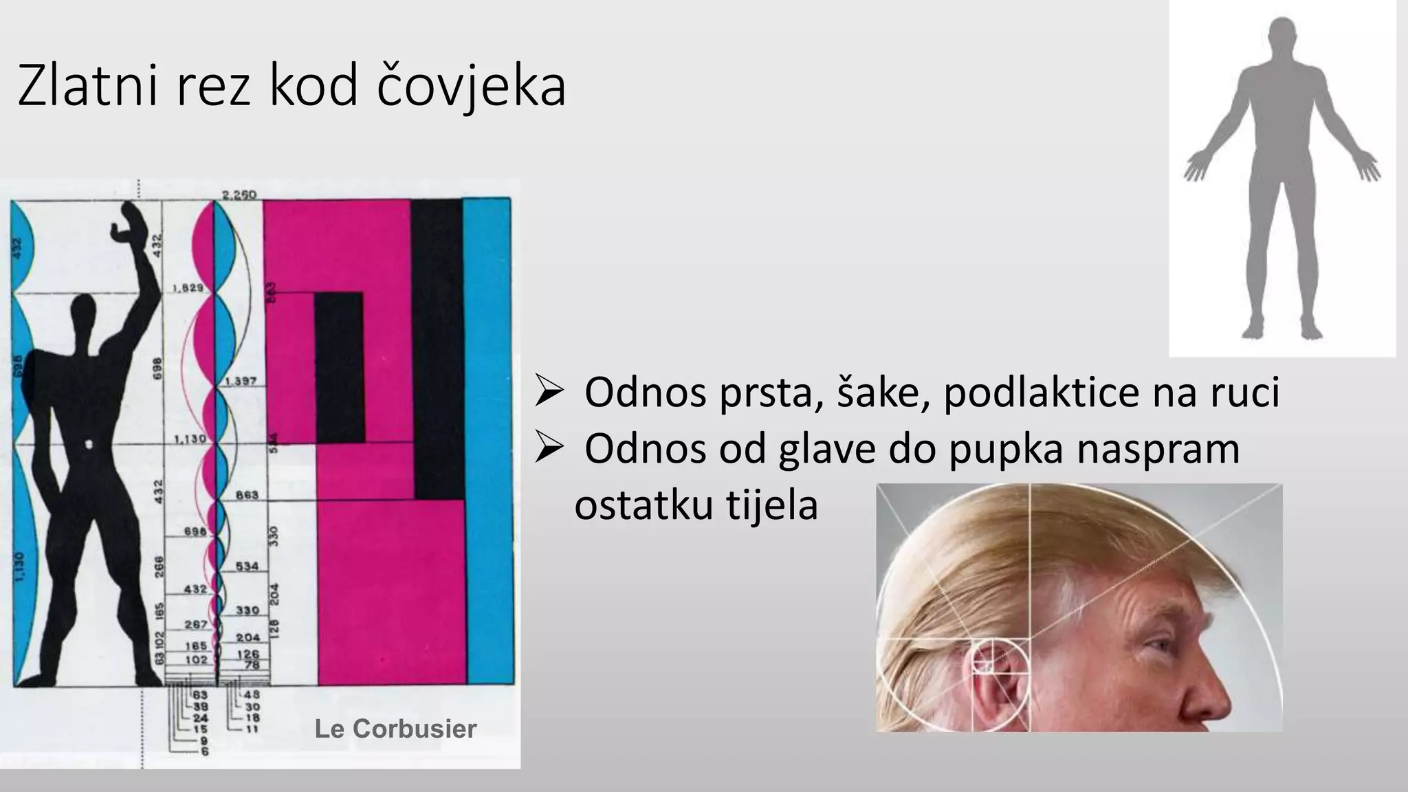 Zlatni rez lukas | PPT