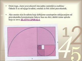 Zlatni rez - matematika | PPT