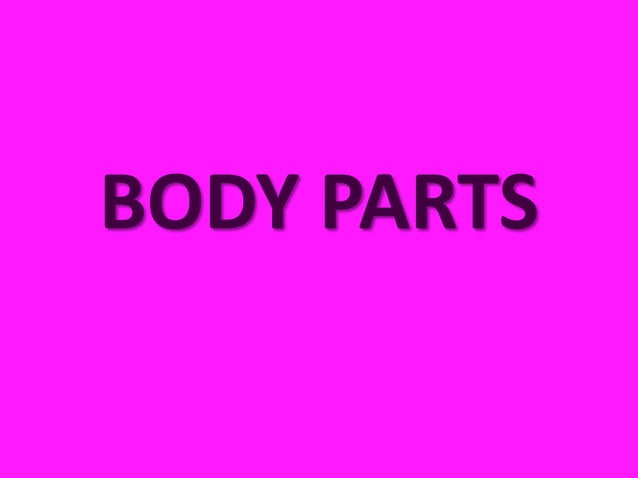 THE BODY PARTS PPT | PPTX
