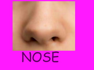 THE BODY PARTS PPT | PPTX