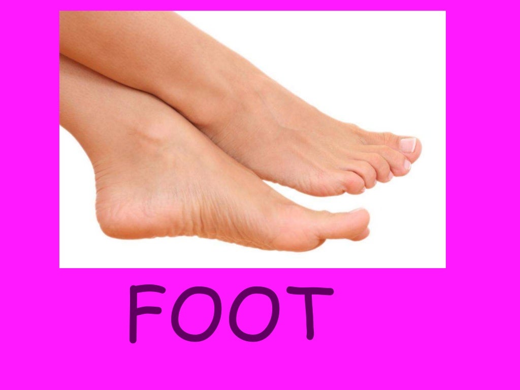 THE BODY PARTS PPT the-body-parts-ppt