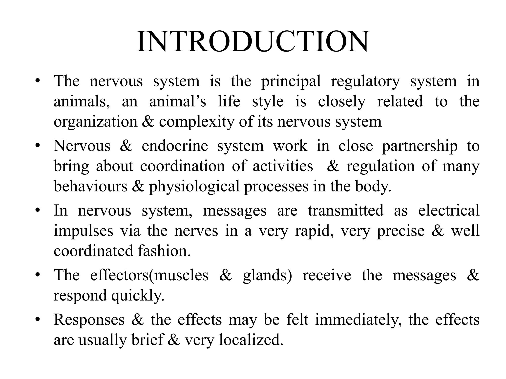 ZLY106ONNERVOUSSYSTEM1.ppt