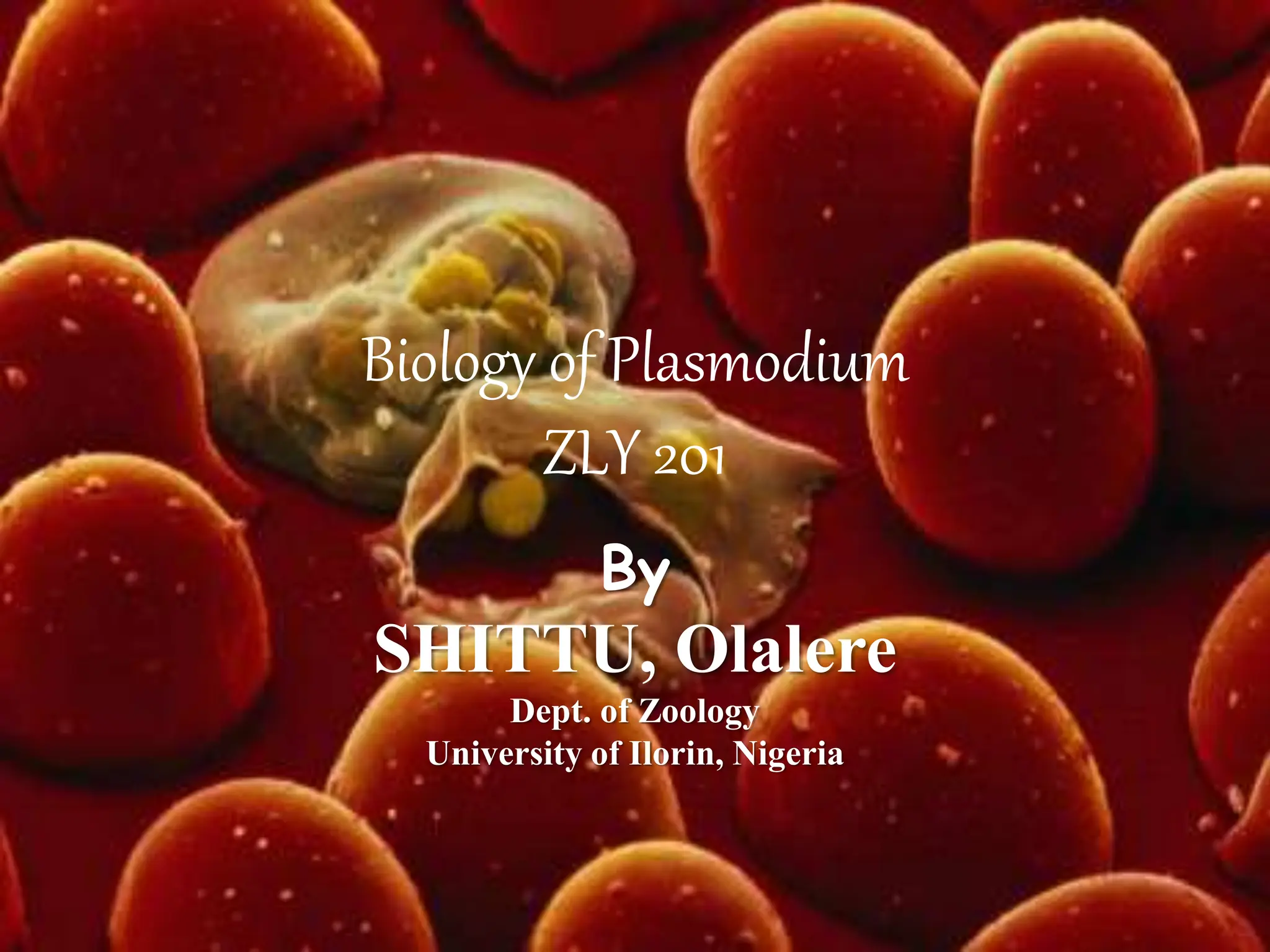 zly201-notebiology-of-plasmodium-parasites.ppt