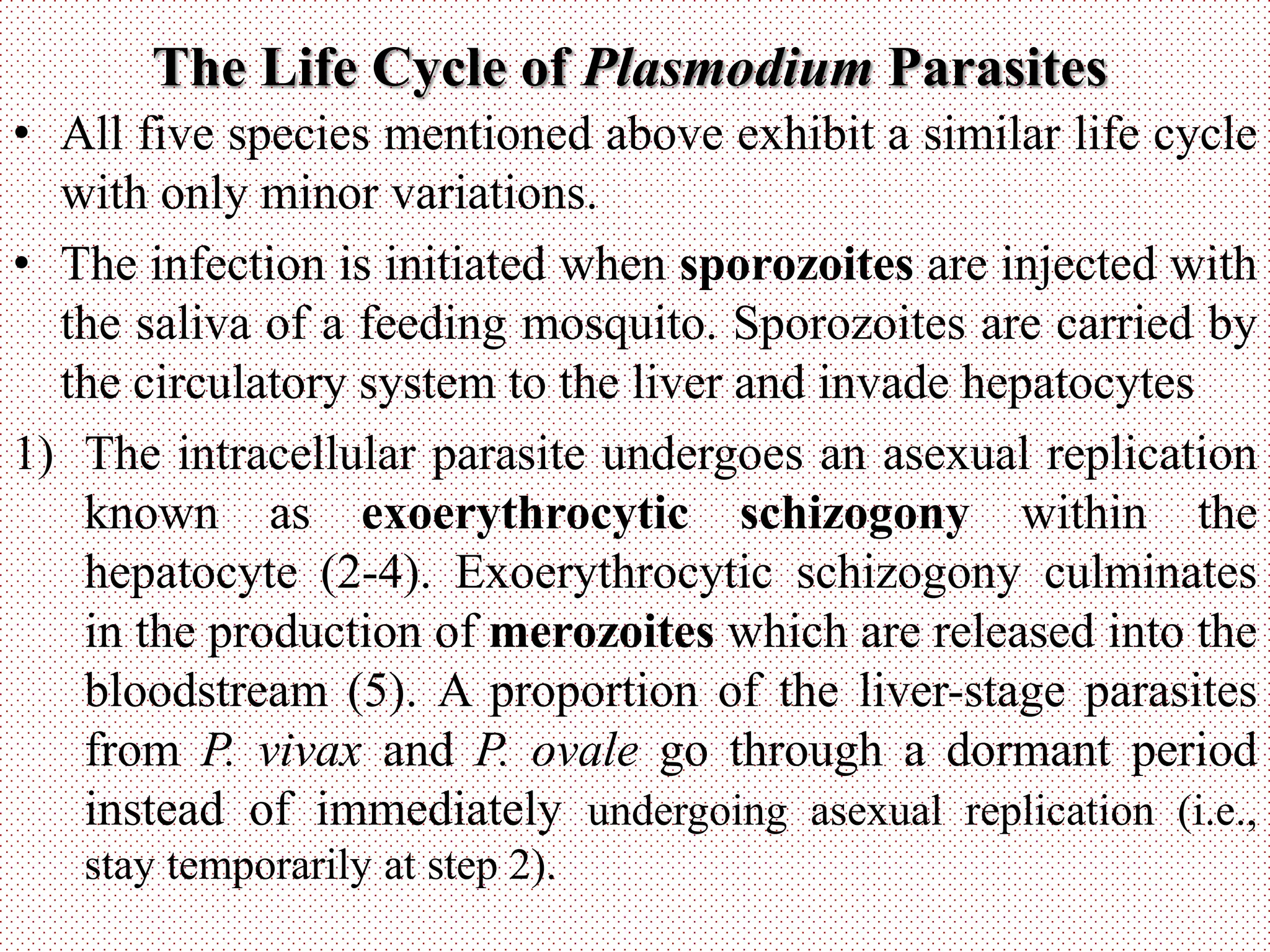 zly201-notebiology-of-plasmodium-parasites.ppt