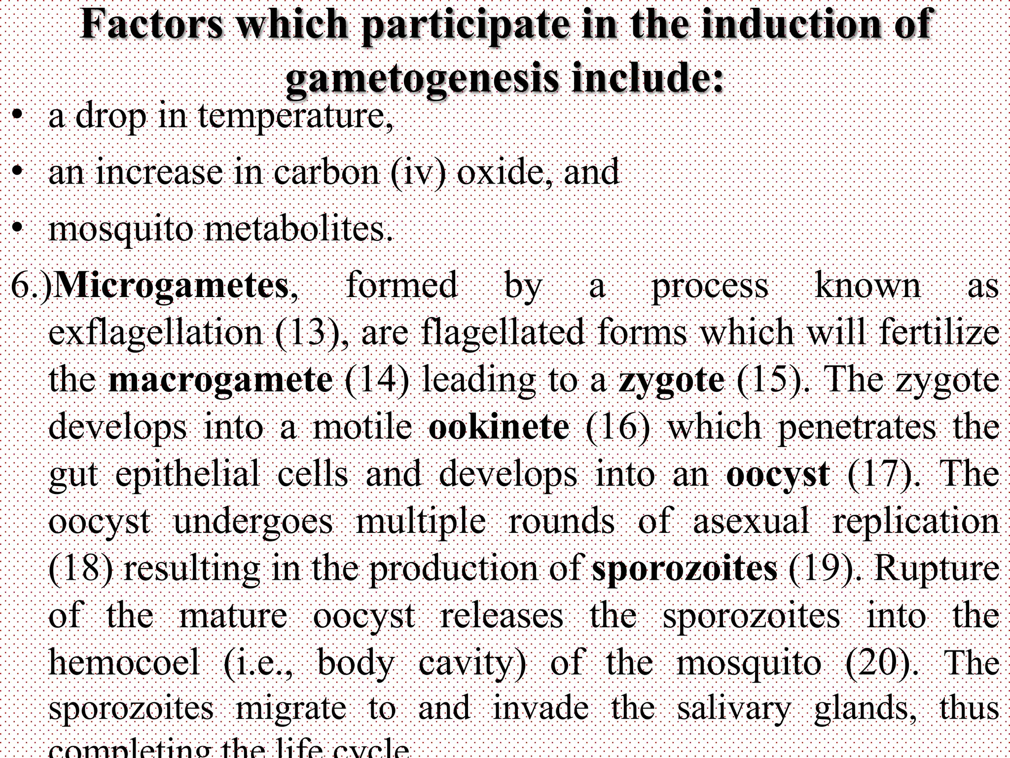 zly201-notebiology-of-plasmodium-parasites.ppt